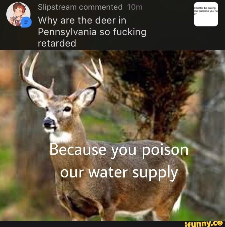 Retarded Deer
