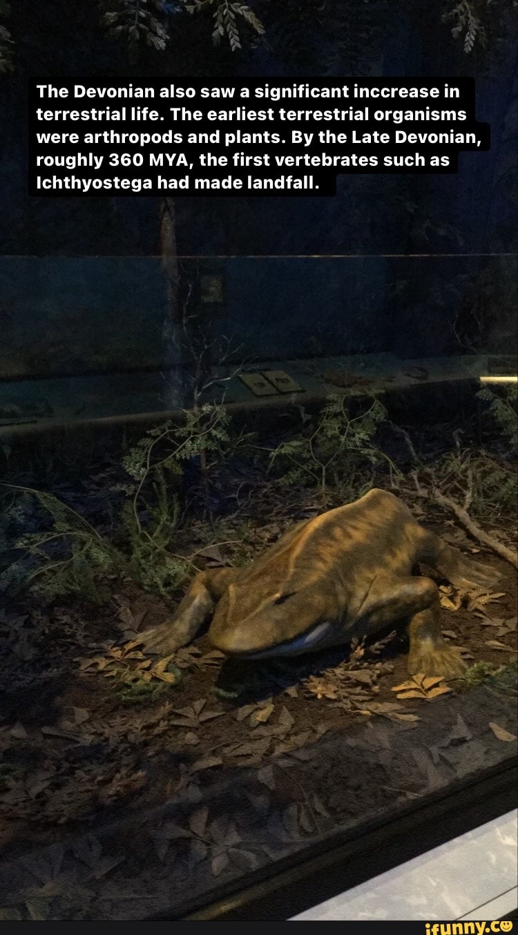 Ichthyostega memes. Best Collection of funny Ichthyostega pictures on ...