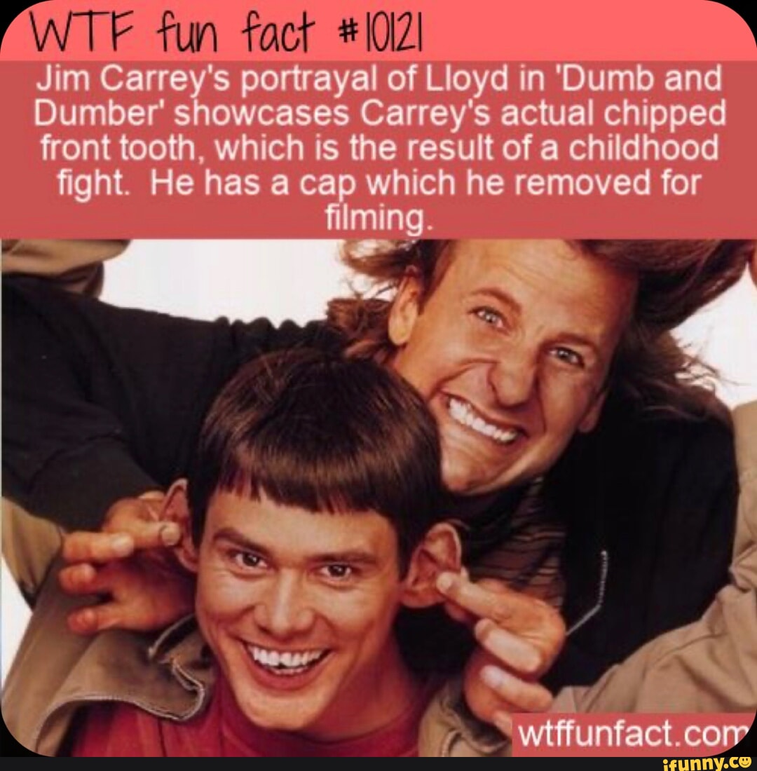 Jim Carrey's portrayal of Lloyd in 'Dumb and Dumber' showcases Carrey's ...