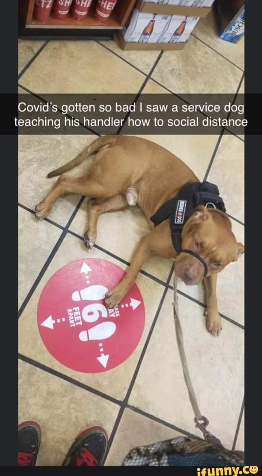 Handler memes. Best Collection of funny Handler pictures on iFunny