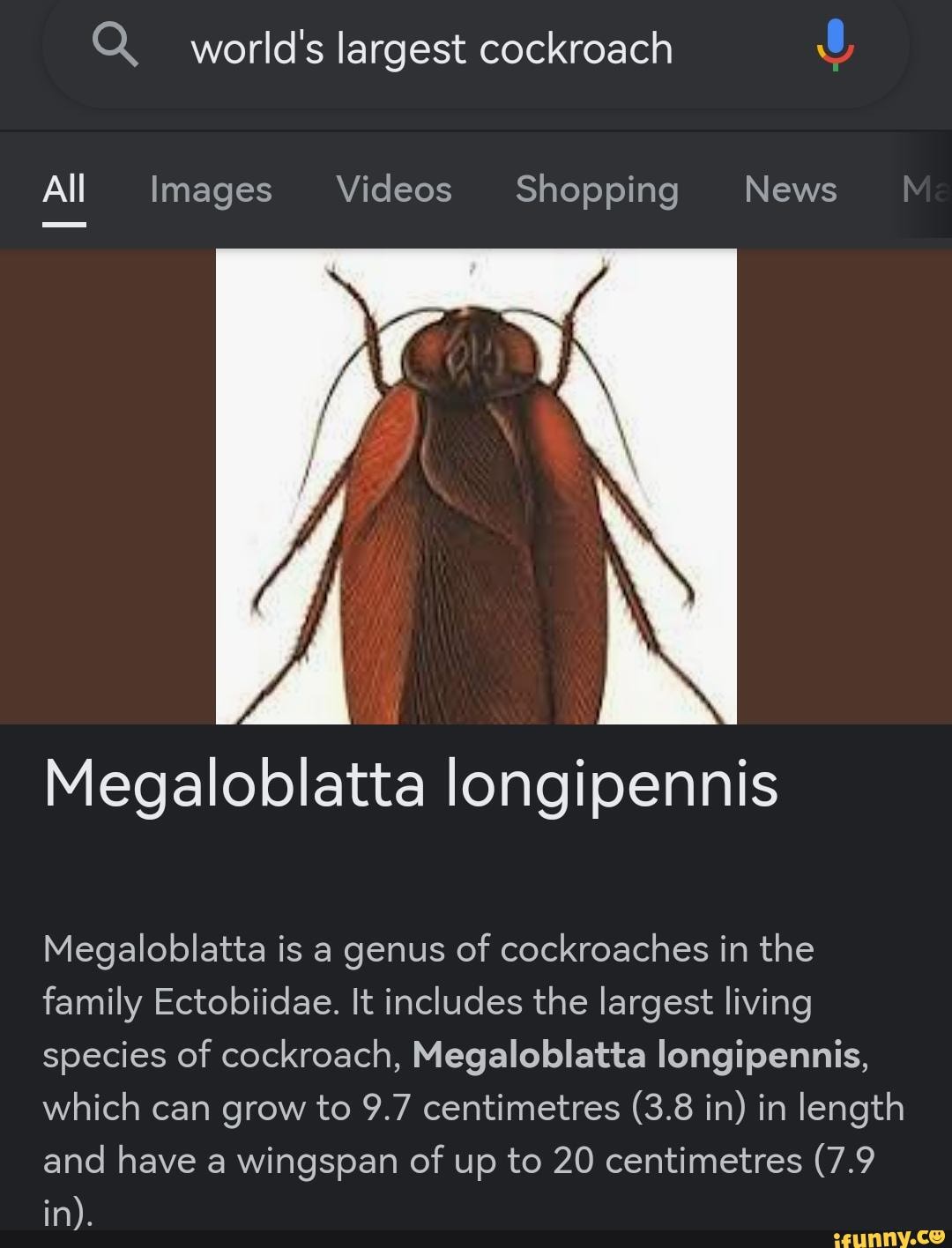 Centimetres memes. Best Collection of funny Centimetres pictures on iFunny