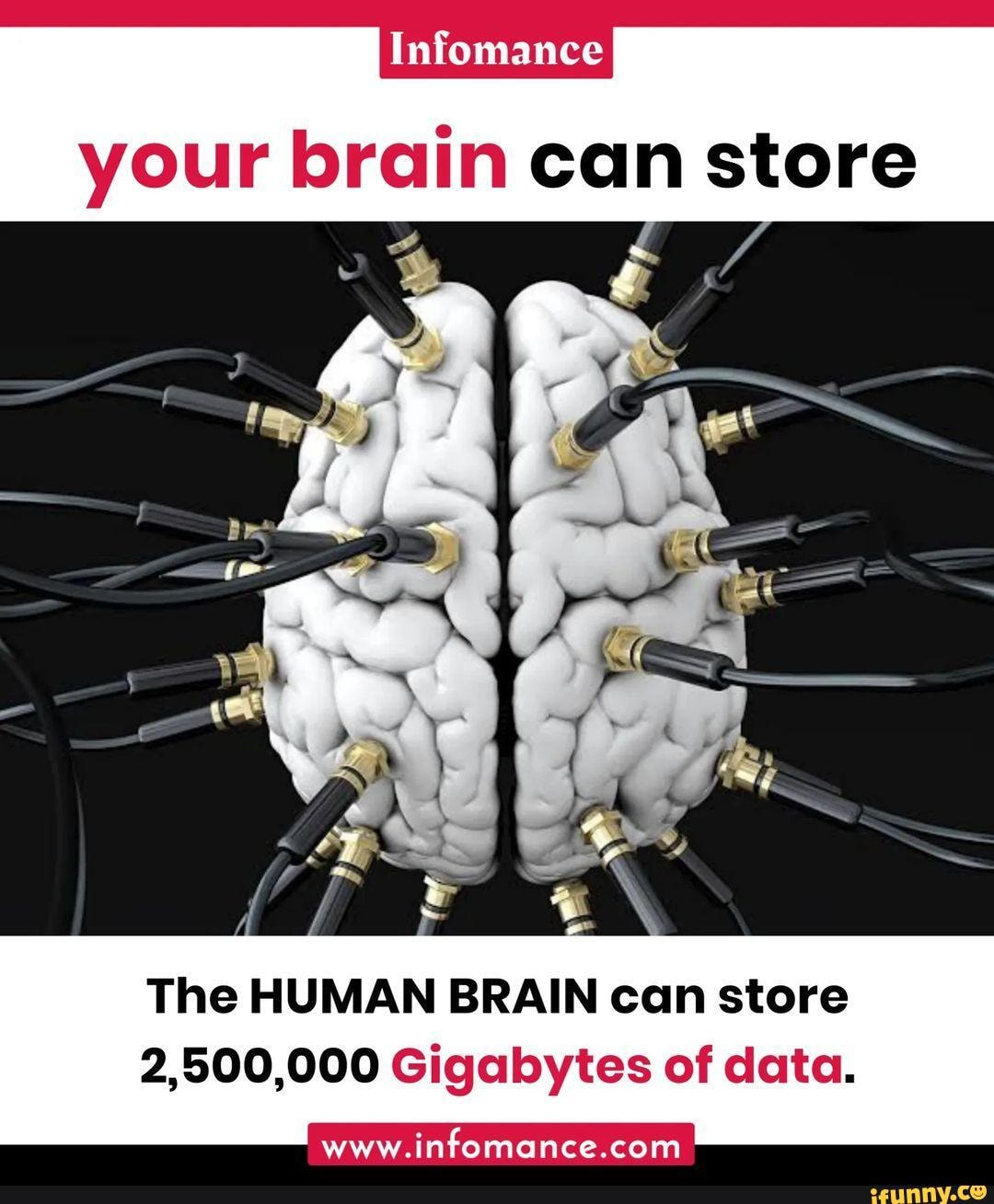 Infomance your brain can store The HUMAN BRAIN can store 2,500,000 ...