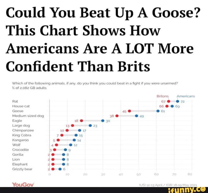 Could You Beat Up A Goose? This Chart Shows How Americans Are A LOT ...