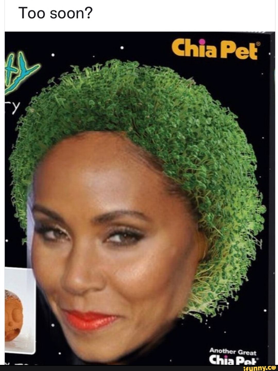 Chiapet memes. Best Collection of funny Chiapet pictures on iFunny