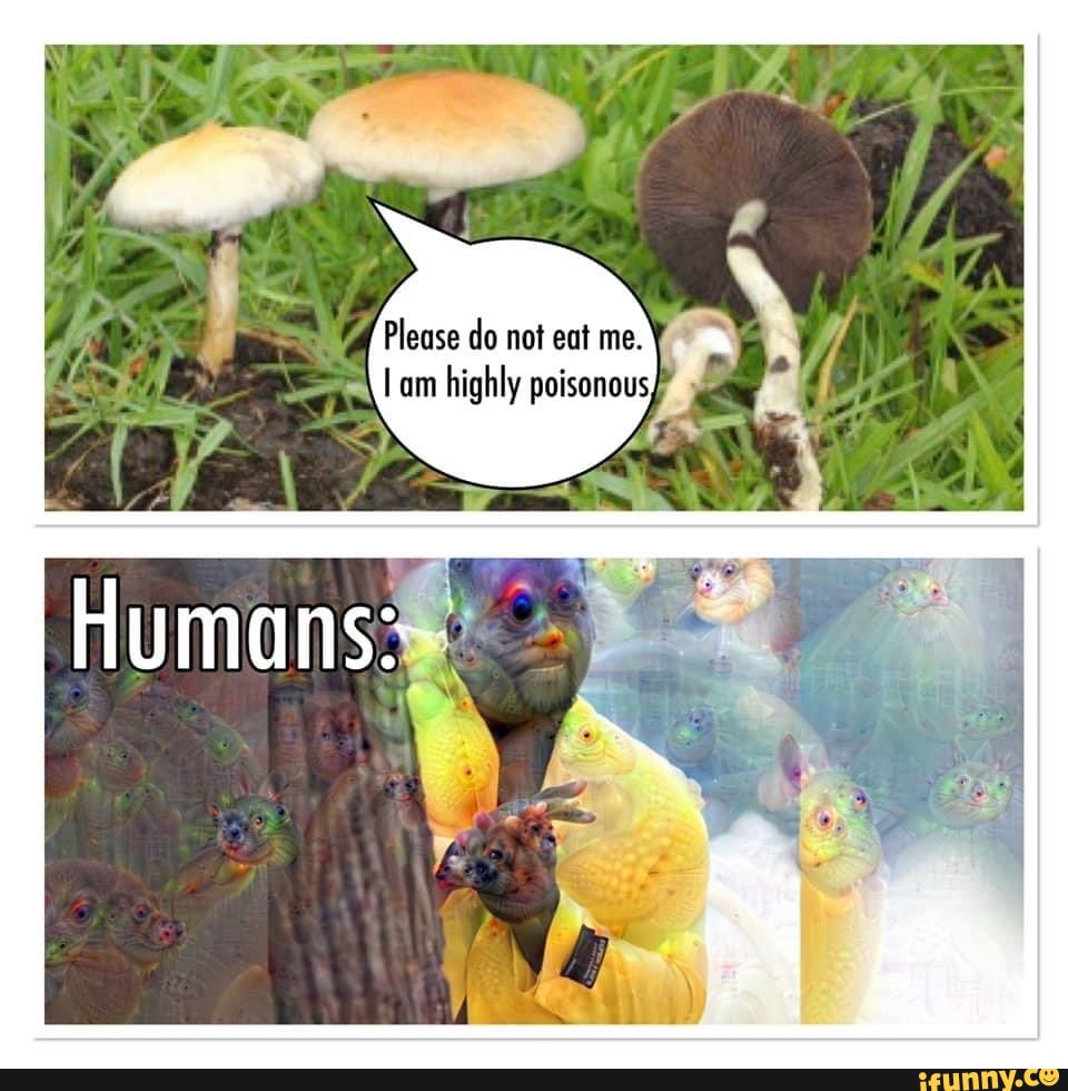 Please do not eat me. om highly poisonous?? - iFunny