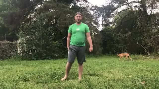 Shiko is extremely important in sumo. It promotes balance as well as ...