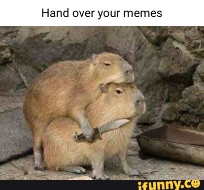 Put them in the comment section nice and slow - Hand over your memes ...