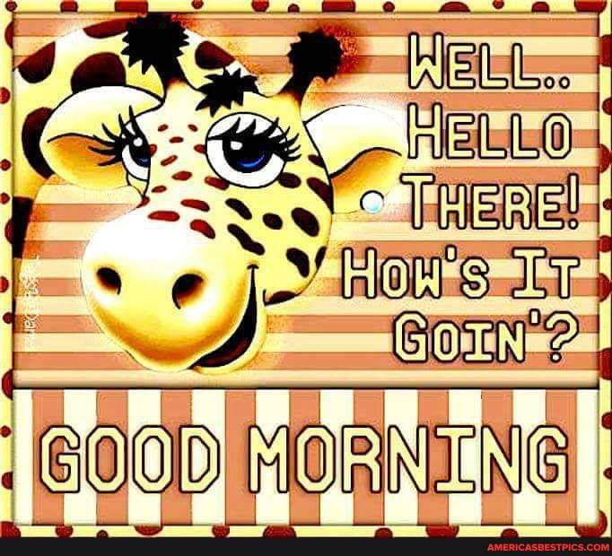 HELLO F., aes cant? GOOD MOANING - America’s best pics and videos