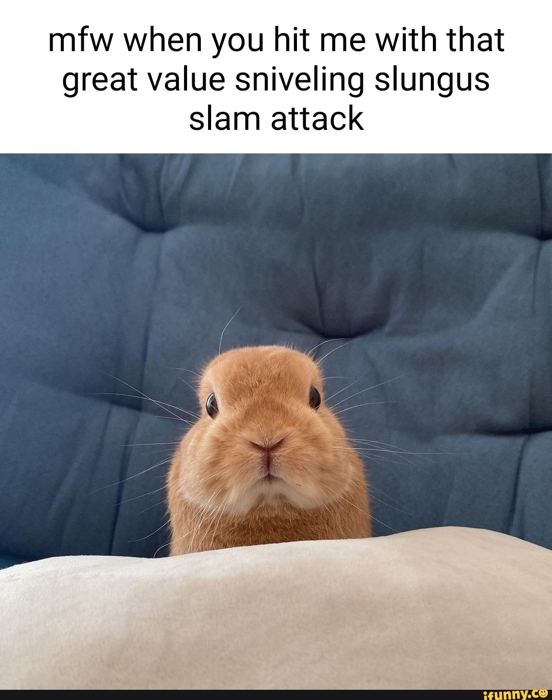 Mfw when you hit me with that great value sniveling slungus slam attack ...