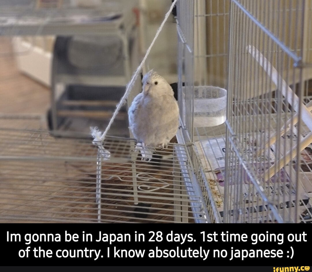 Bloodborne Caryll Runes HD - Bloodborne Caryll Runes Runter anti ...