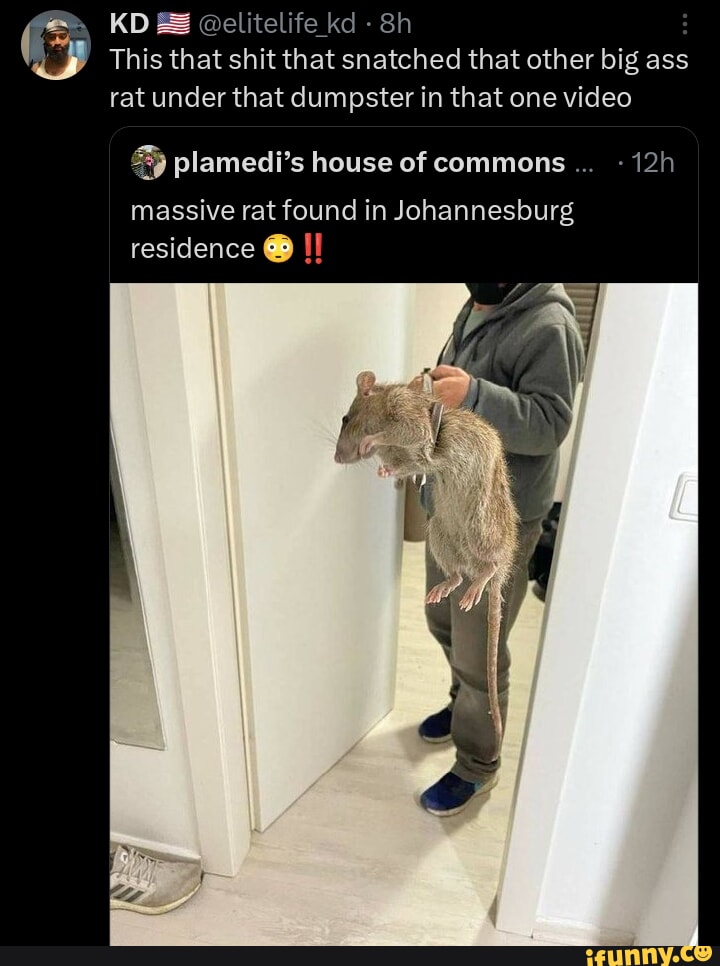 Aw The Susybot Rutes: Ten Rules all Sissyboi's should abide by. Sissies ...