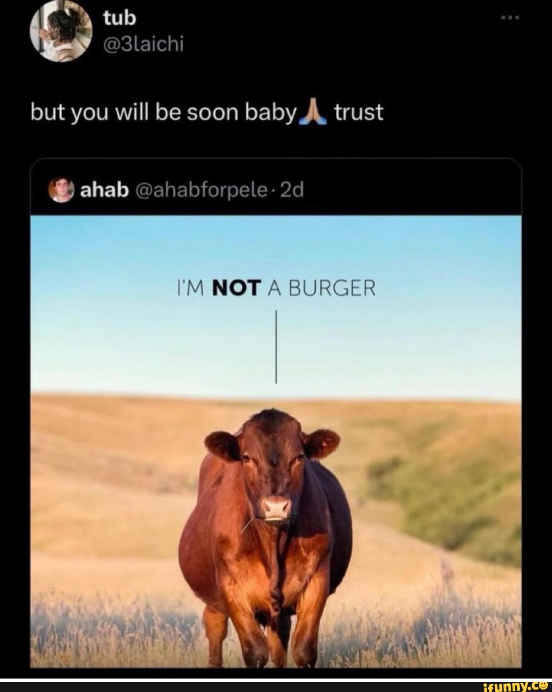 @3laichi but you will be soon baby trust ahab @ahabforpele- 'M NOT A ...