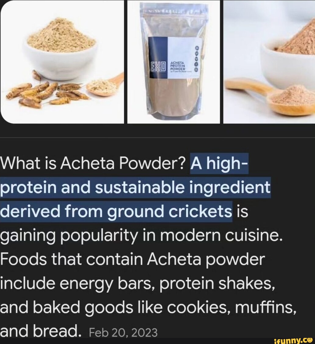 What is Acheta Powder? A high- protein and sustainable ingredient ...