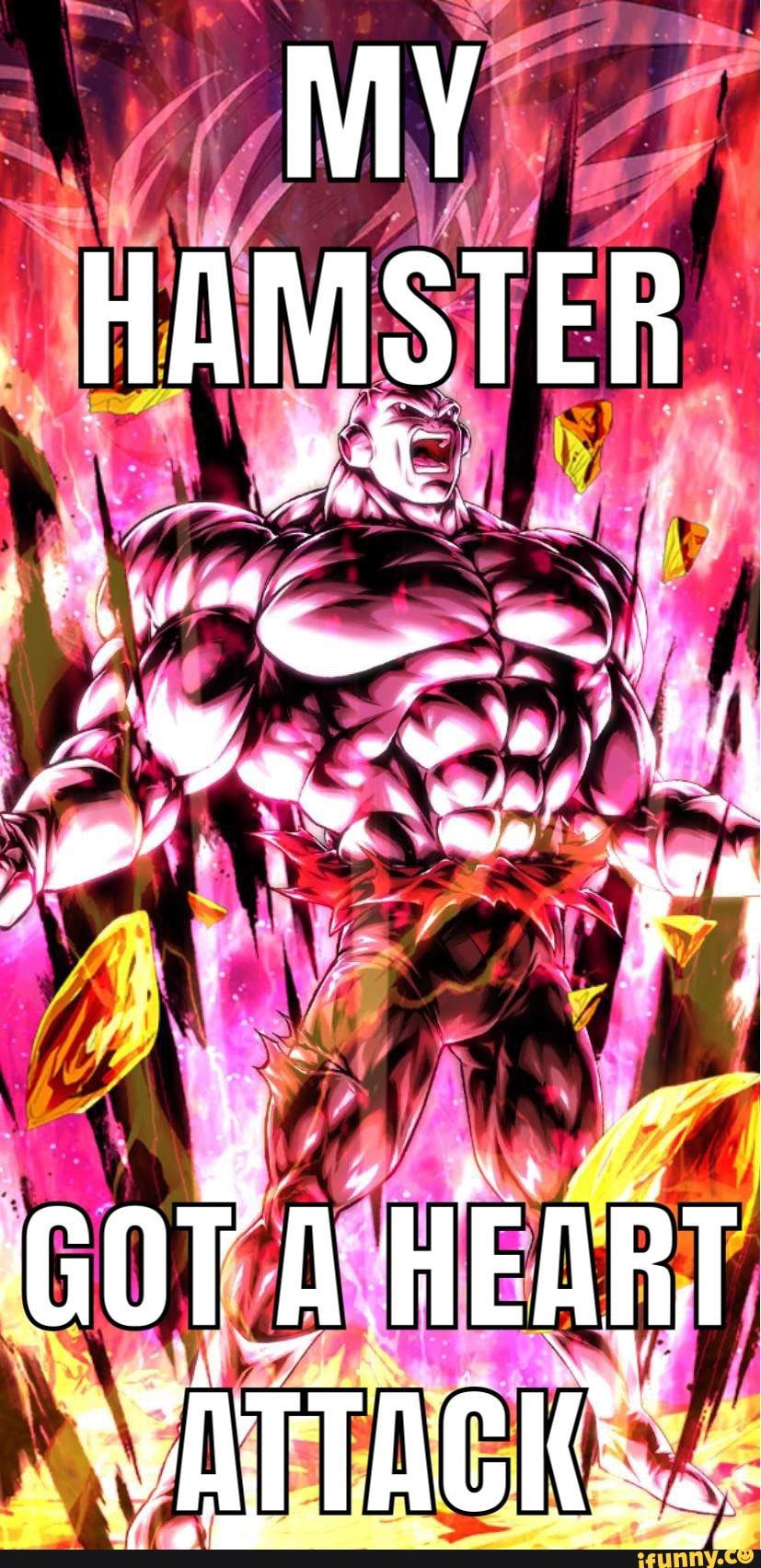 Hants memes. Best Collection of funny Hants pictures on iFunny