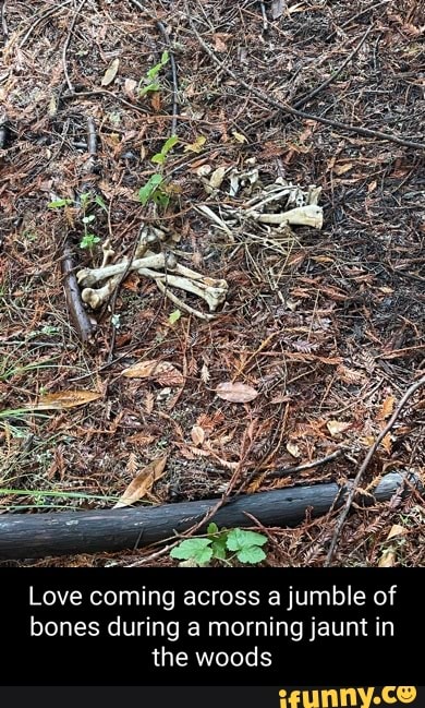 Jaunt memes. Best Collection of funny Jaunt pictures on iFunny