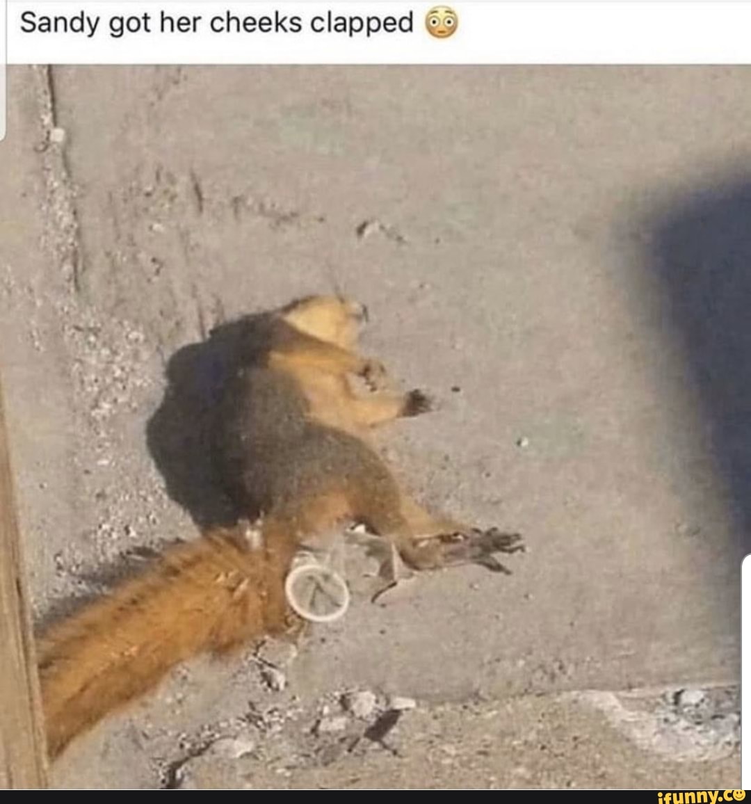 Sandy got her cheeks clapped ©3 - iFunny