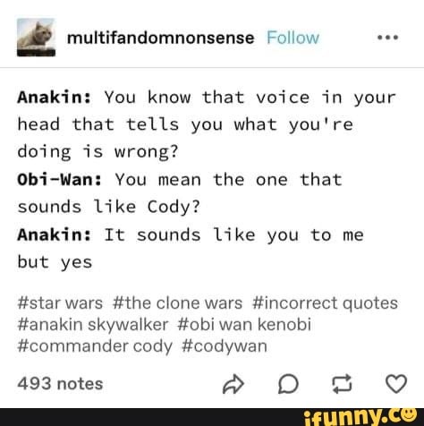 Anakin: You know that voice in your head that tells you what you're ...