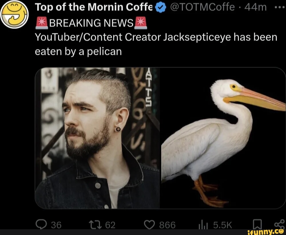 Video memes JPOs3Zl1C by THE_PSYCHO_WOLF_ - iFunny