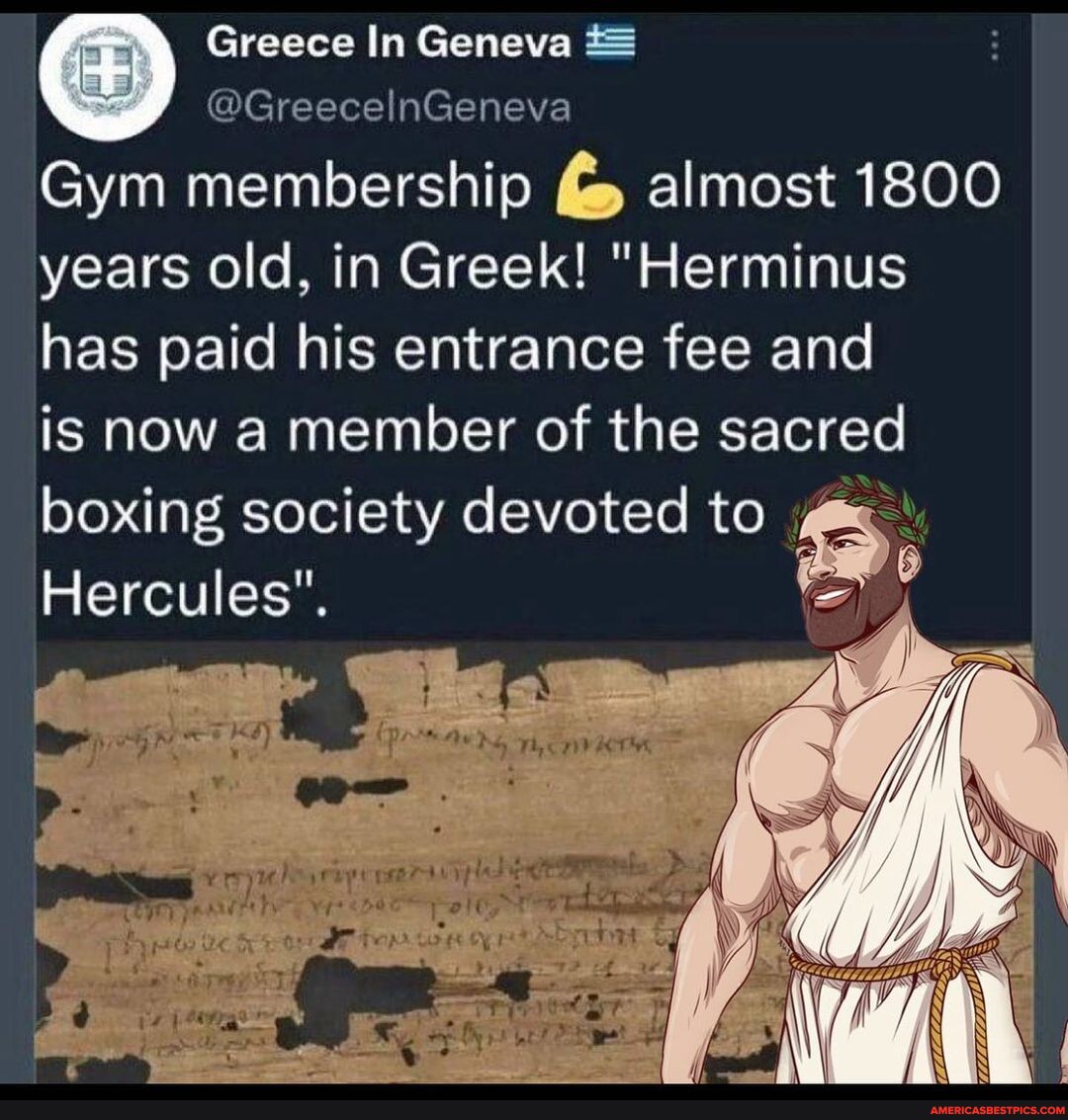 Where my gym bros at?💪🏼💪🏼💪🏼 FOLLOW FOR MORE HISTORY MEMES ...