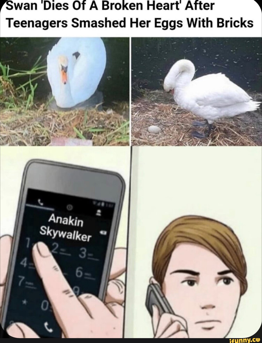 Difference between a thermal sight and a traditional sight (From inside ...