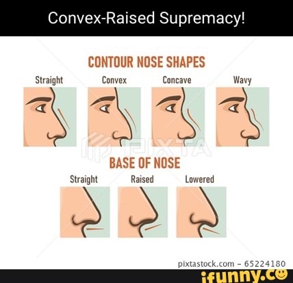Convex memes. Best Collection of funny Convex pictures on iFunny