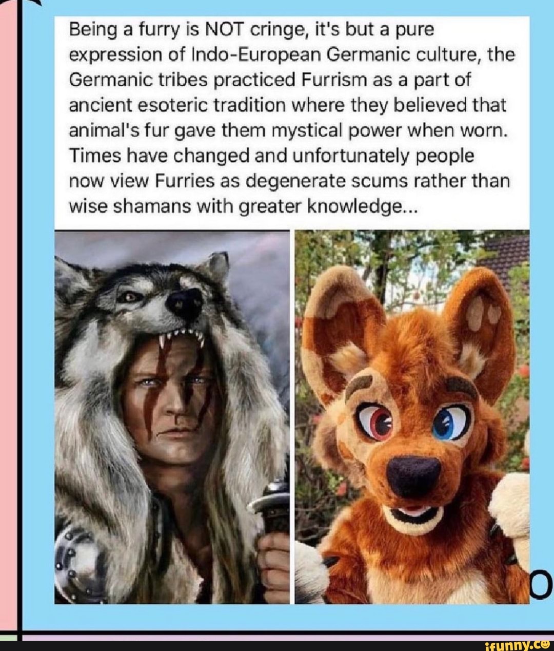 Being a furry is NOT cringe, it's but a pure expression of European ...