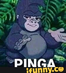 Gorila memes. Best Collection of funny Gorila pictures on iFunny
