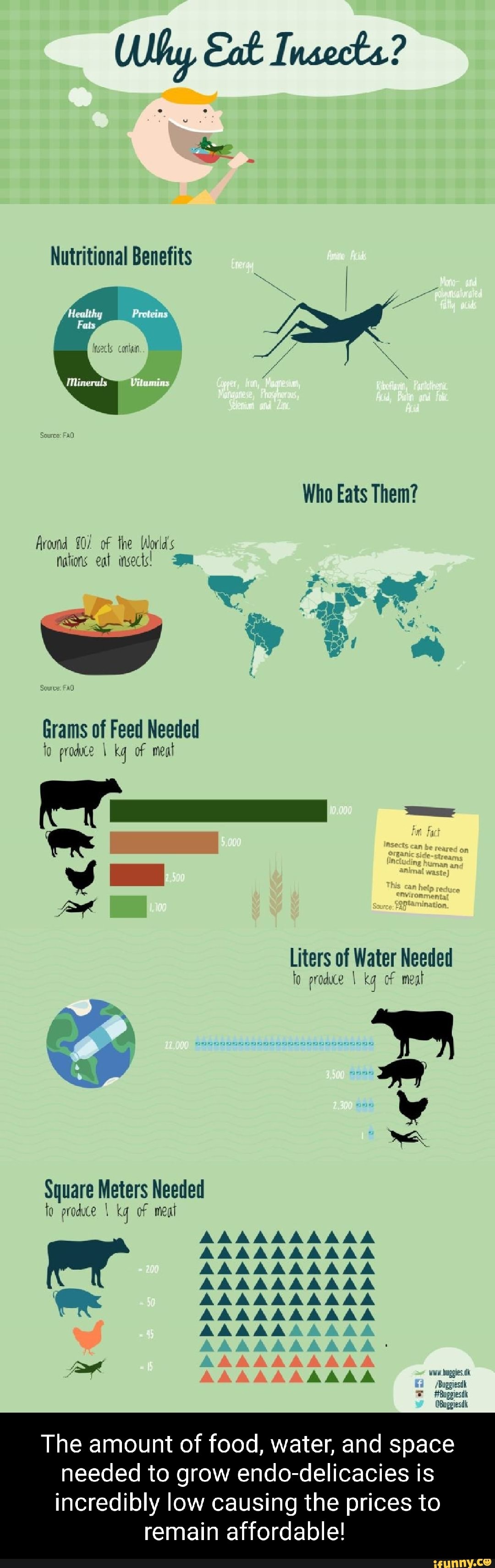 Why, Eat Insects? Nutritional Benefits Who Eats Them? Around of the ...