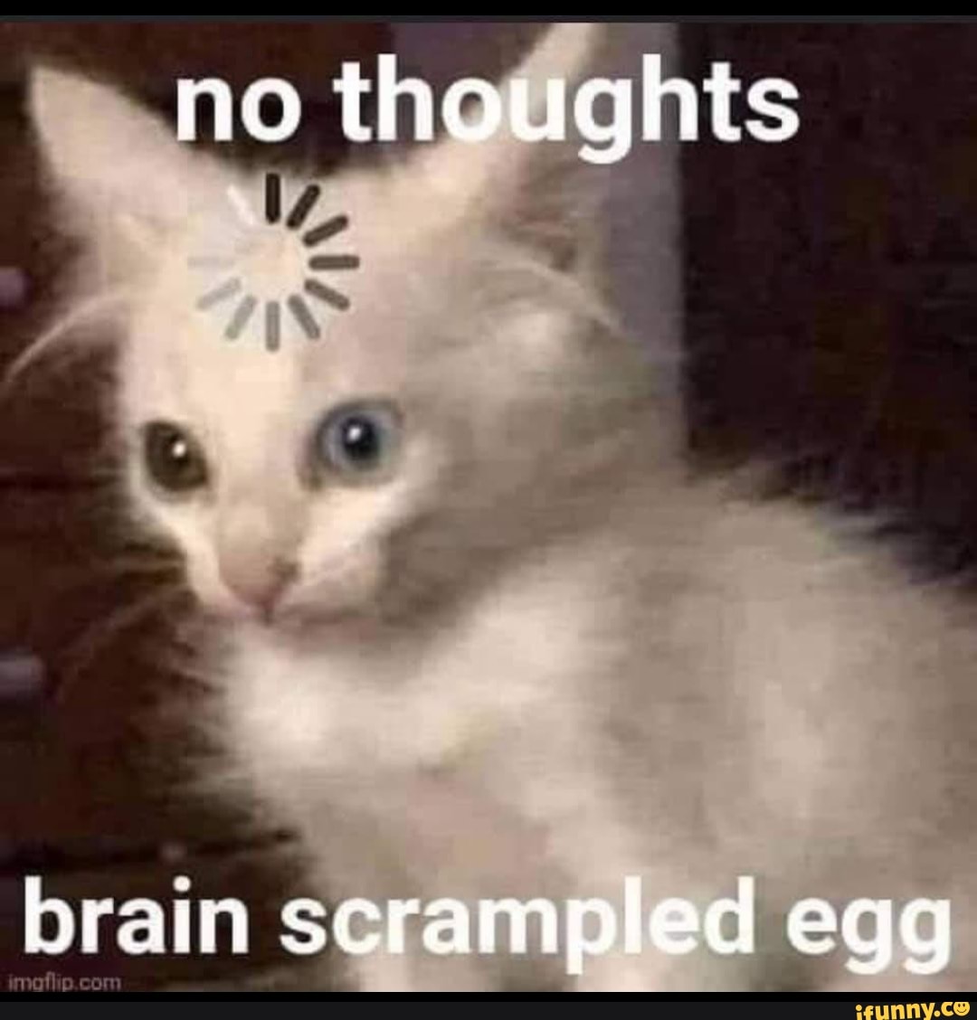 No thoughts brain scrampled egg - iFunny