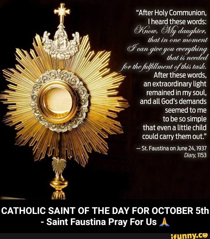 Tash memes. Best Collection of funny Tash pictures on iFunny