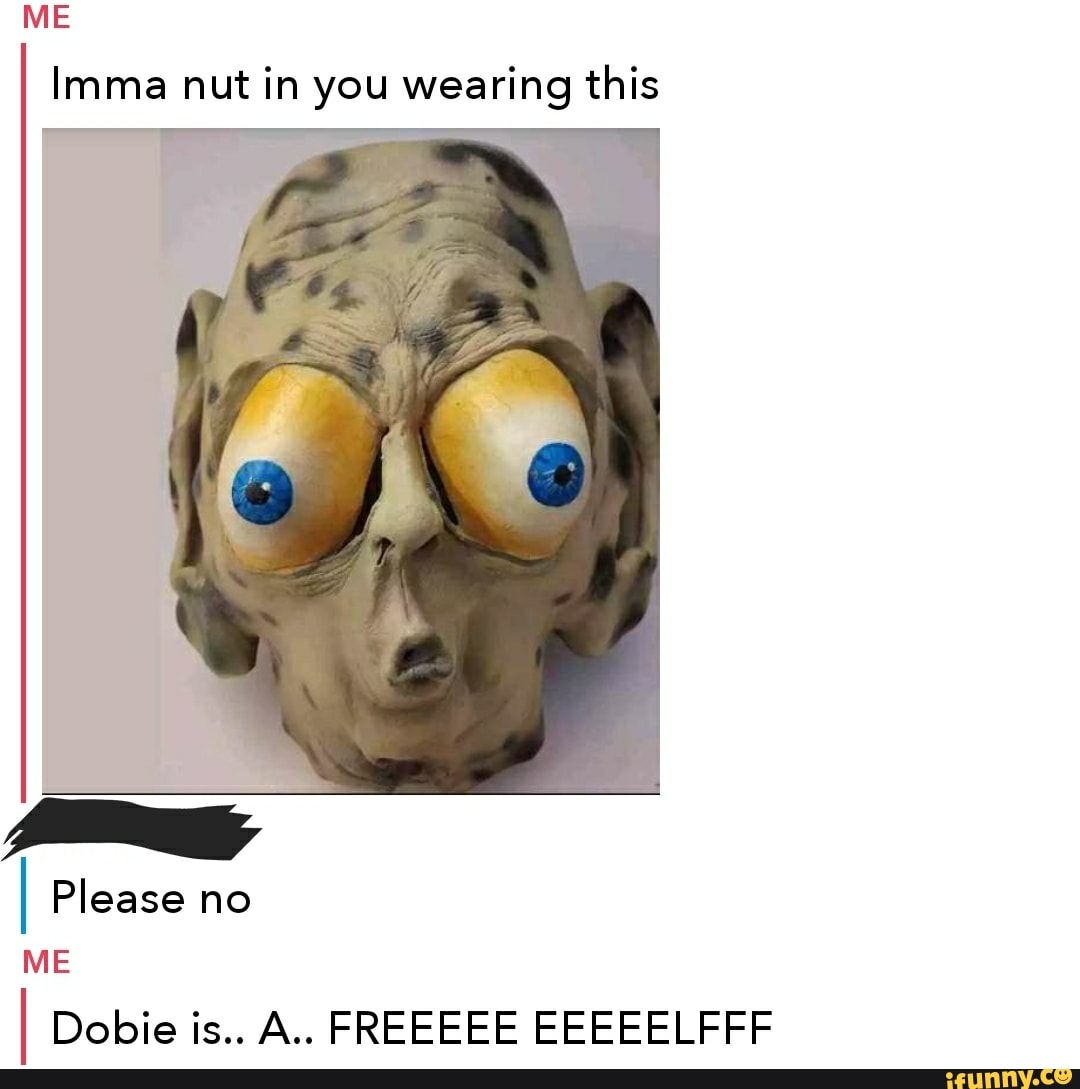 Eeeeelfff memes. Best Collection of funny Eeeeelfff pictures on iFunny
