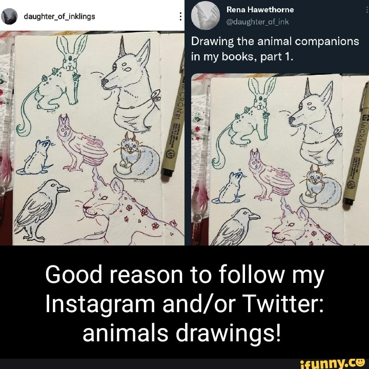 Daughter of Rena Hawethorne Drawing the animal companions in my books ...