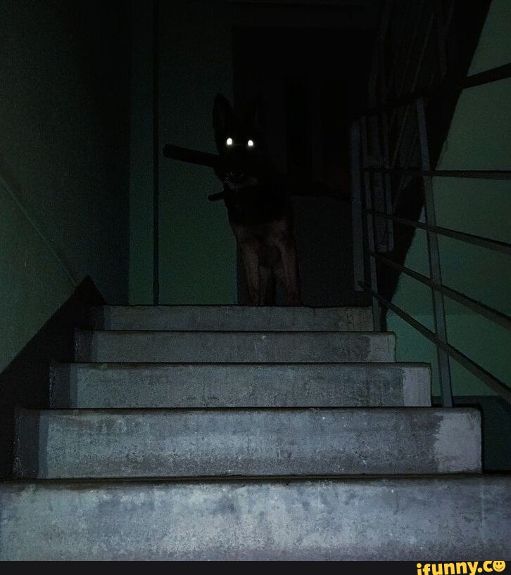 Annabelle Demon Stairs Scene