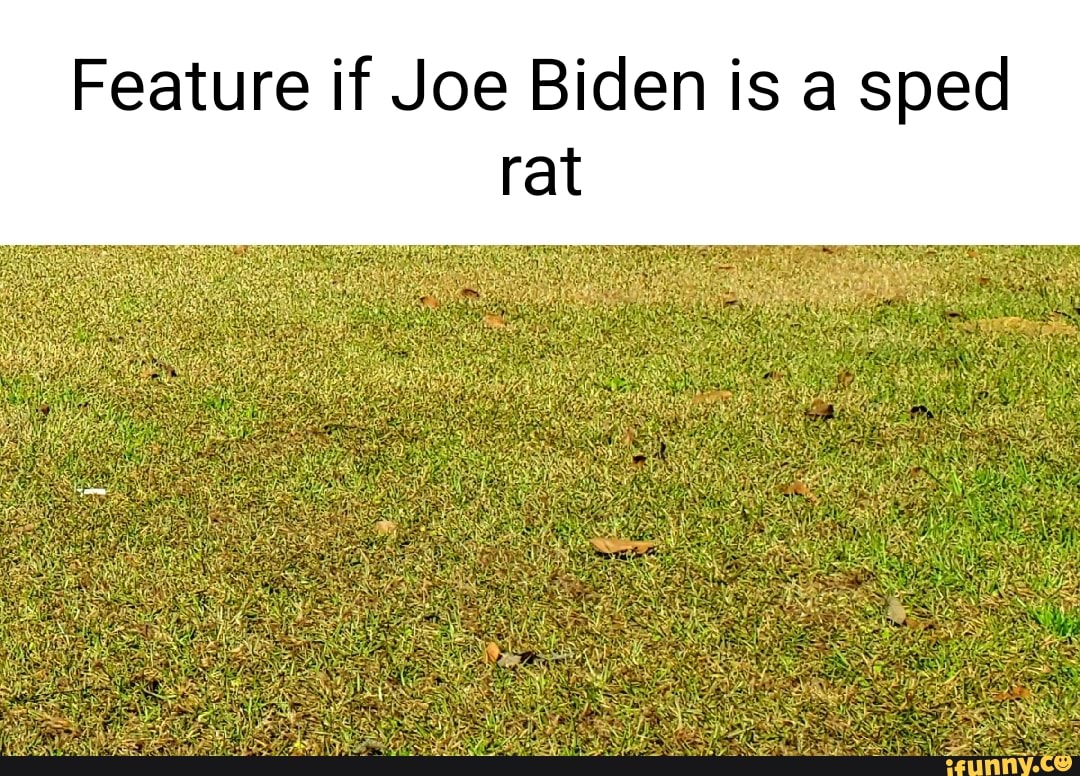 Feature if Joe Biden is a sped rat - iFunny