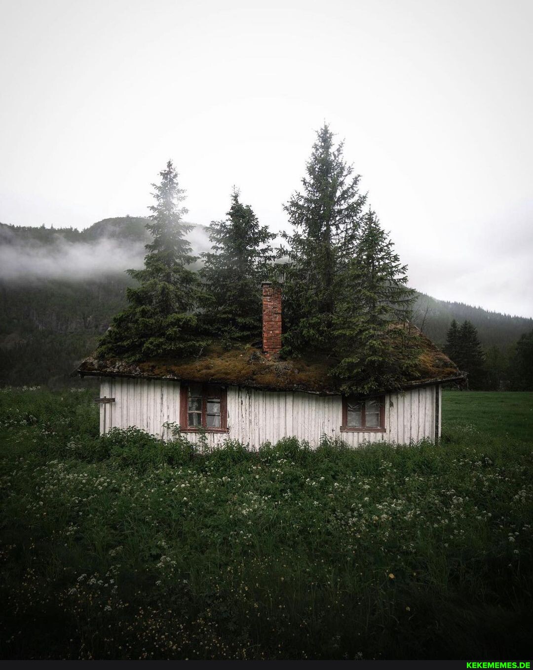 A photographer captured stunning photos of a unique home in Norway with ...