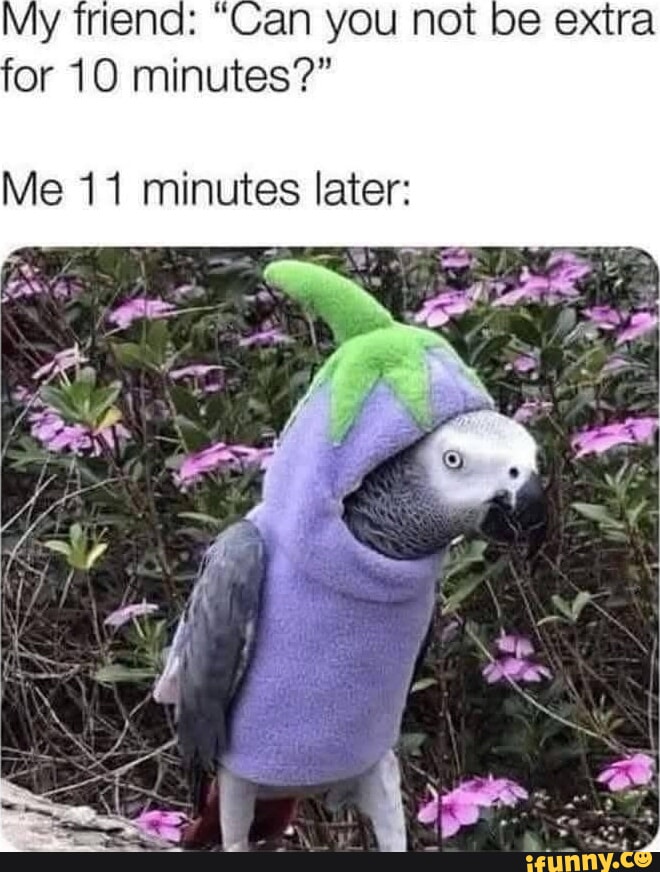 Or 10 minutes?" Me 11 minutes later: - iFunny