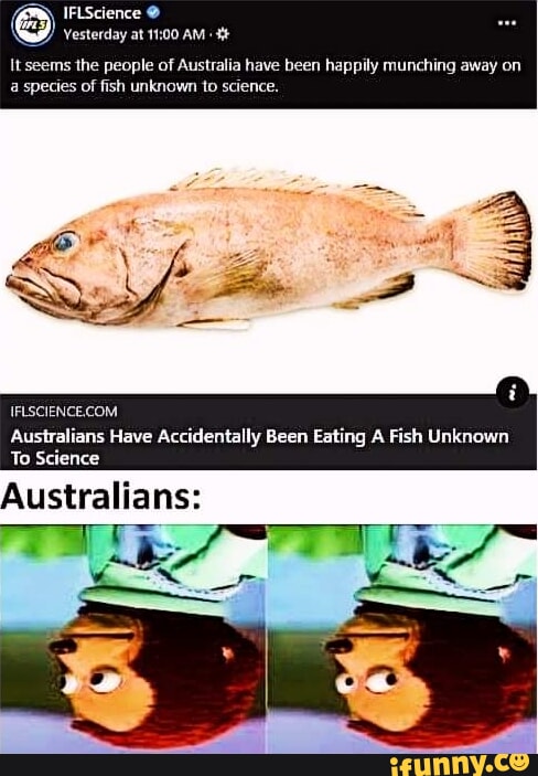 Munching memes. Best Collection of funny Munching pictures on iFunny