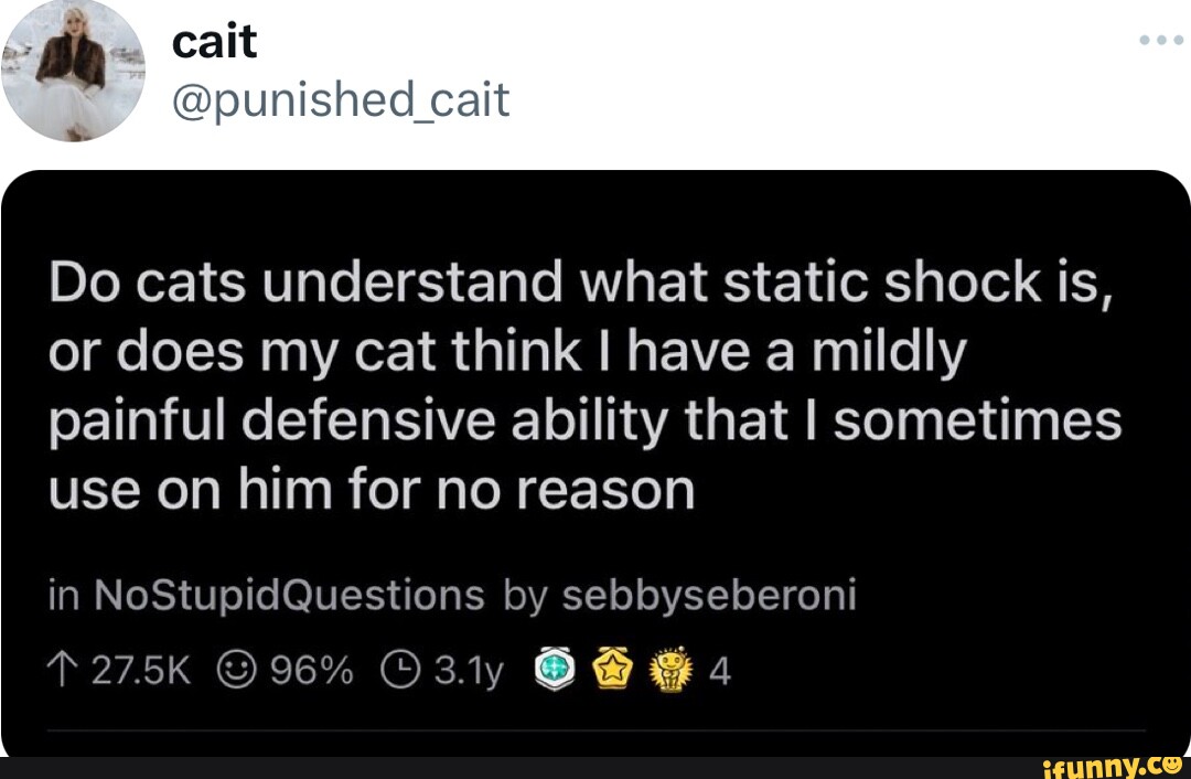 Cait @punished cait Do cats understand what static shock is, or does my ...