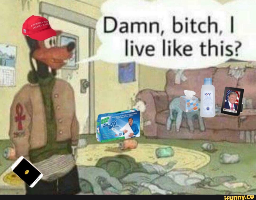 Damn, bitch, I live like this? - iFunny