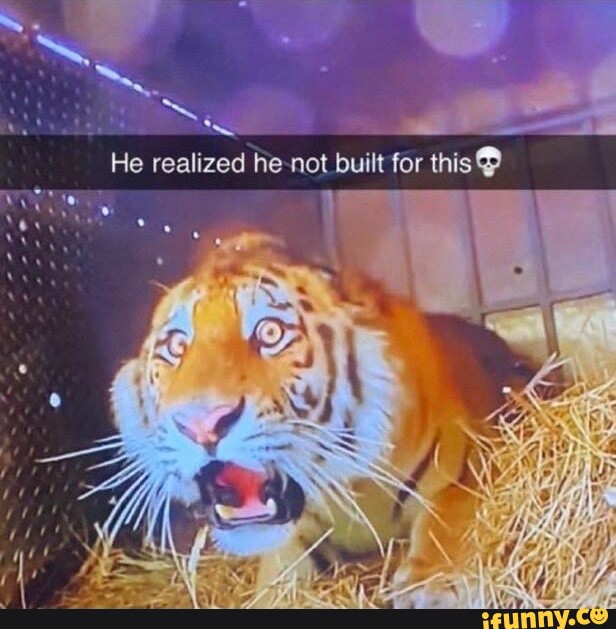He realized he not built for this - iFunny
