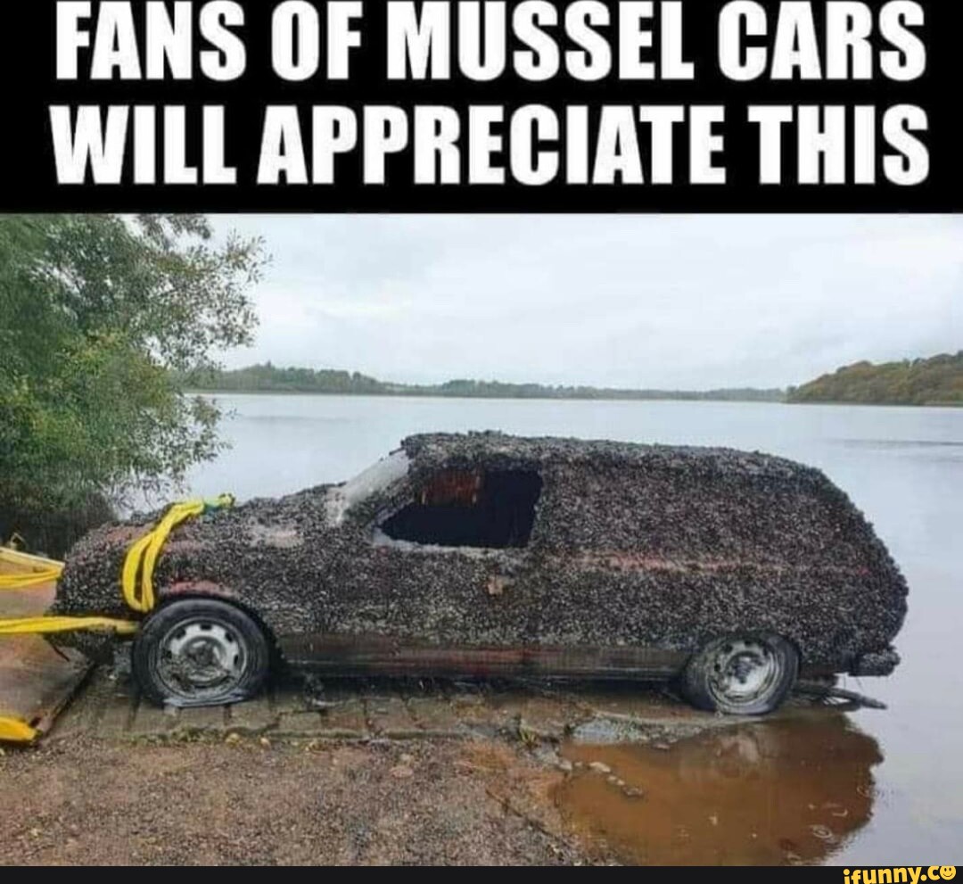 Mussel memes. Best Collection of funny Mussel pictures on iFunny