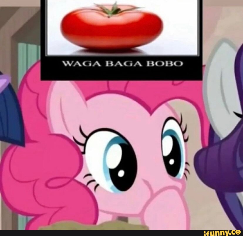 Baga memes. Best Collection of funny Baga pictures on iFunny