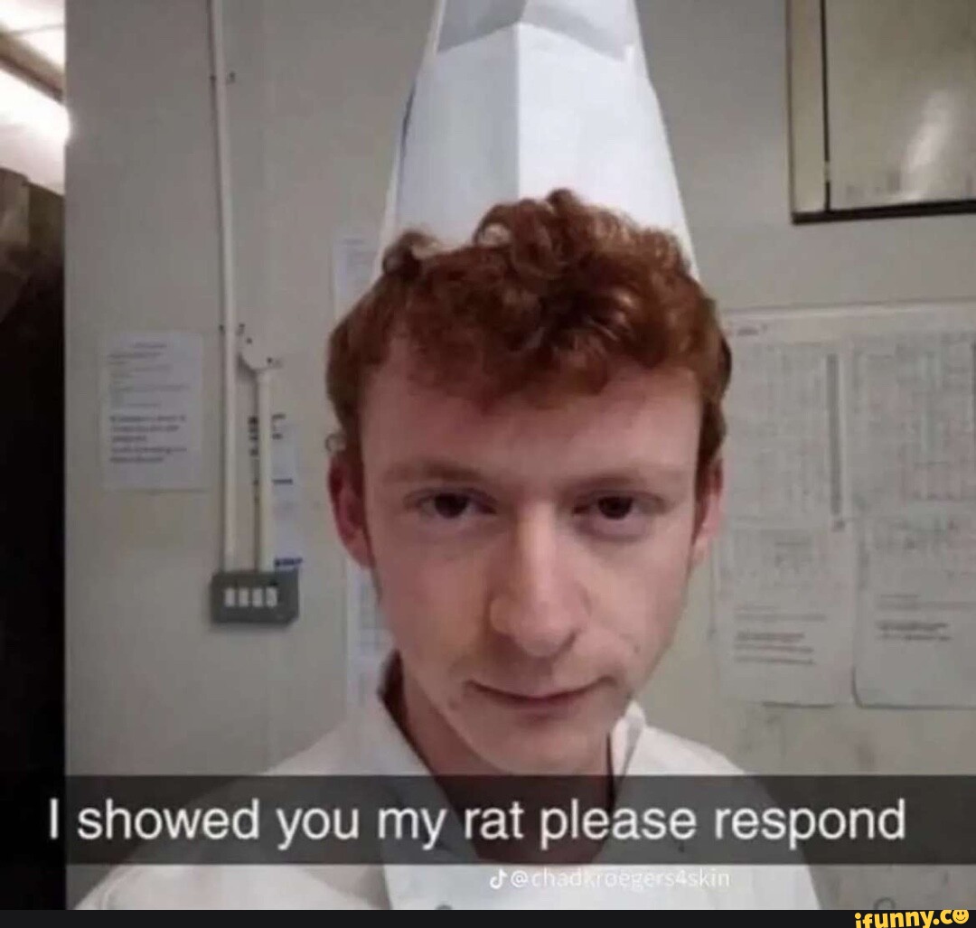 I showed you my rat please respond - seo.title