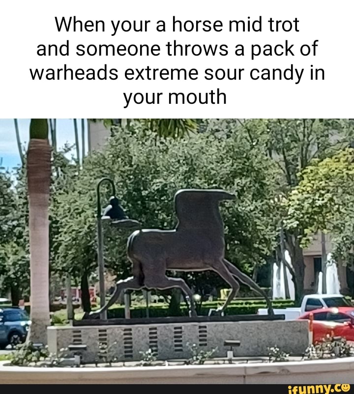 Trot memes. Best Collection of funny Trot pictures on iFunny