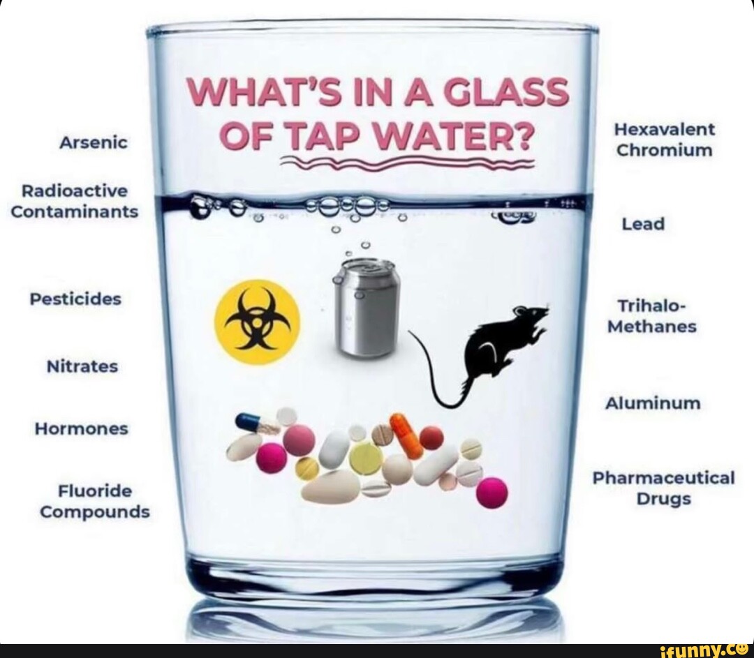 Nitrates memes. Best Collection of funny Nitrates pictures on iFunny