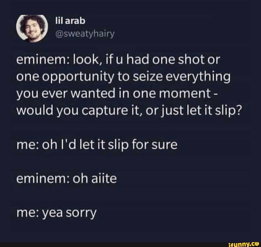Lilarab @sweatyhairy eminem: look, if u had one shot or one opportunity ...