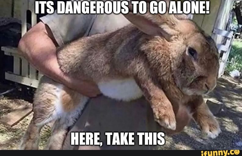 ITS DANGEROUS TO GO ALONE! HERE, TAKE THIS - iFunny