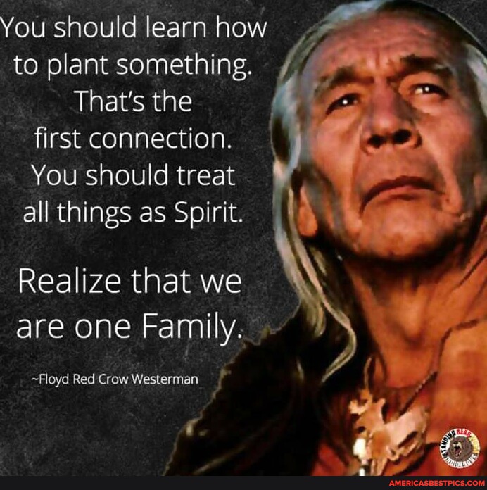 You should learn how to plant something. That's the first connection ...