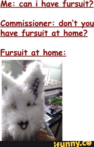 Fursuit memes. Best Collection of funny Fursuit pictures on iFunny