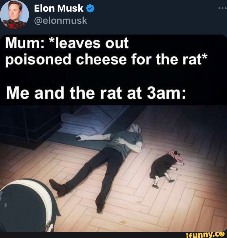 Elon Musk Mum: *leaves out poisoned cheese for the rat* Me and the rat ...